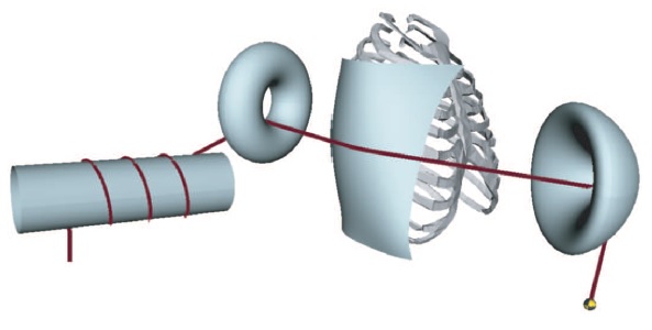 Muscle Wrapping Project